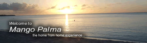 Welcome to Mango Palma