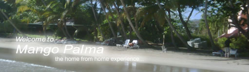 Welcome to Mango Palma