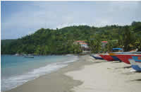 Welcome to Mango Palma