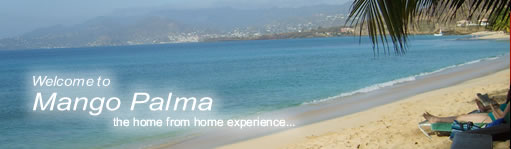Welcome to Mango Palma